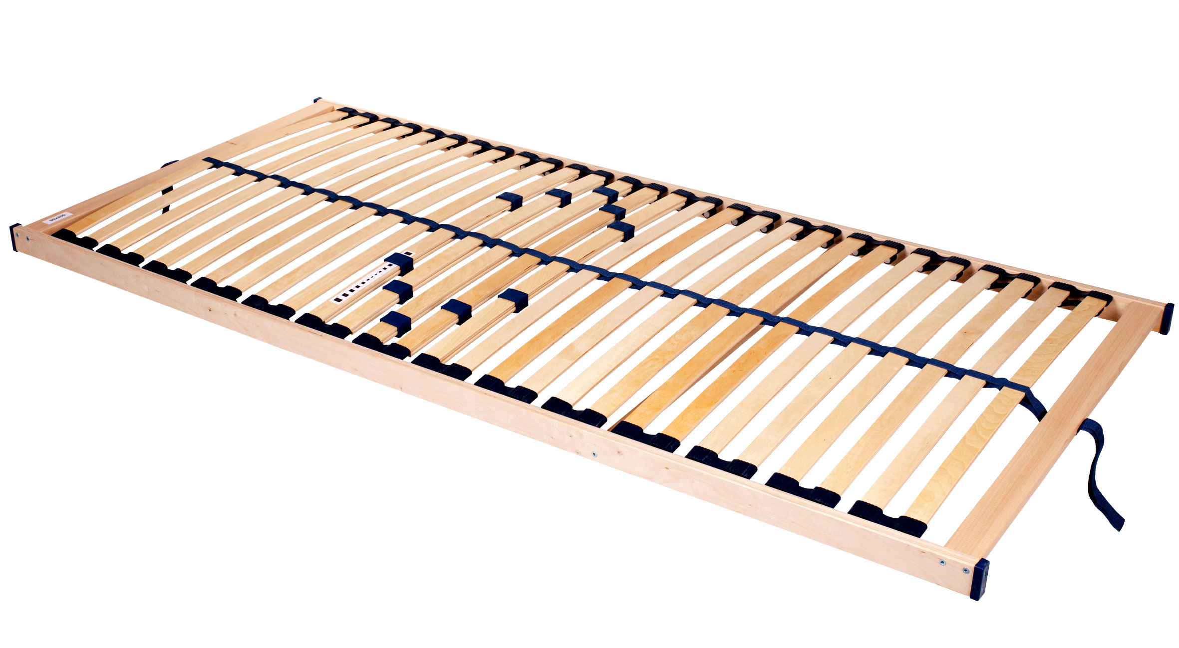 Rebell-Starr - Dinova